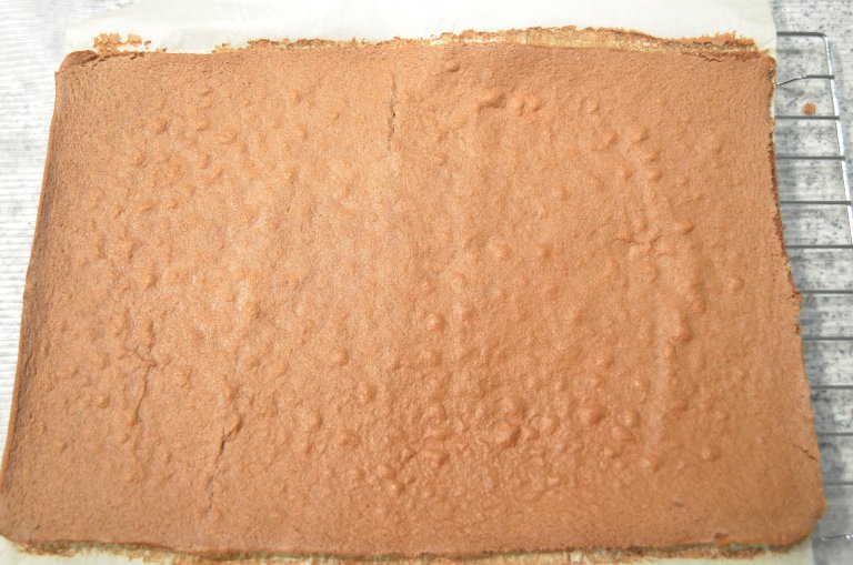 [VIDEO] Chocolate Yule Log Swiss Roll Cake