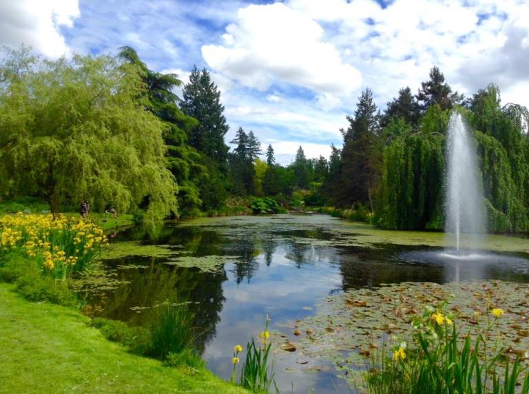 Spring in Vandusen Botanical Garden, Vancouver BC