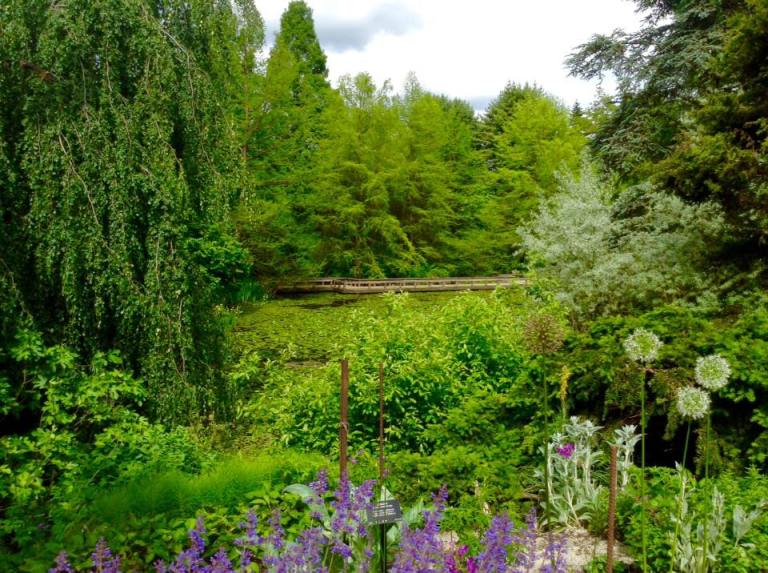 Spring in Vandusen Botanical Garden, Vancouver BC