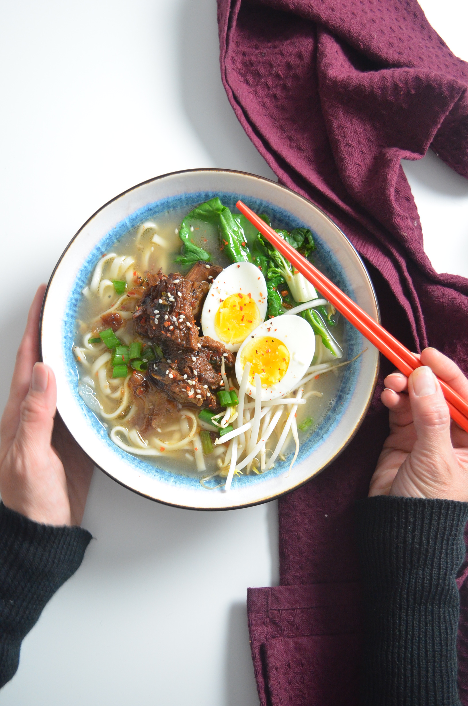 Braised Beef Short Ribs Noodles