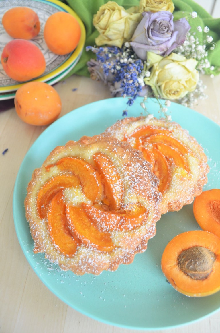 Crustless Almond Apricot Frangipane Tart