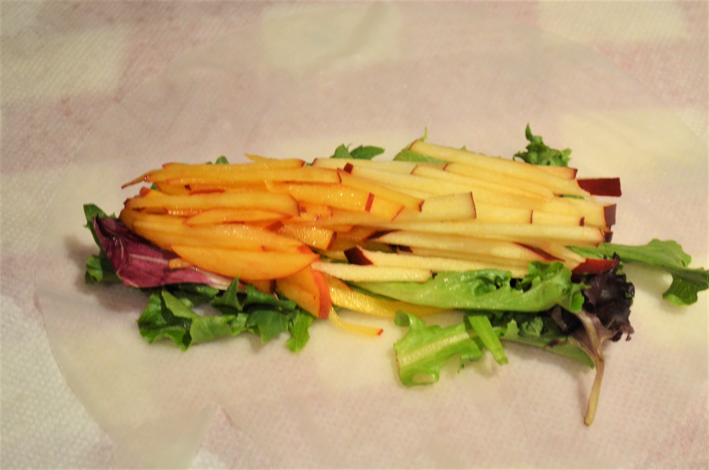 Summer Fresh Fruit Spring Rolls