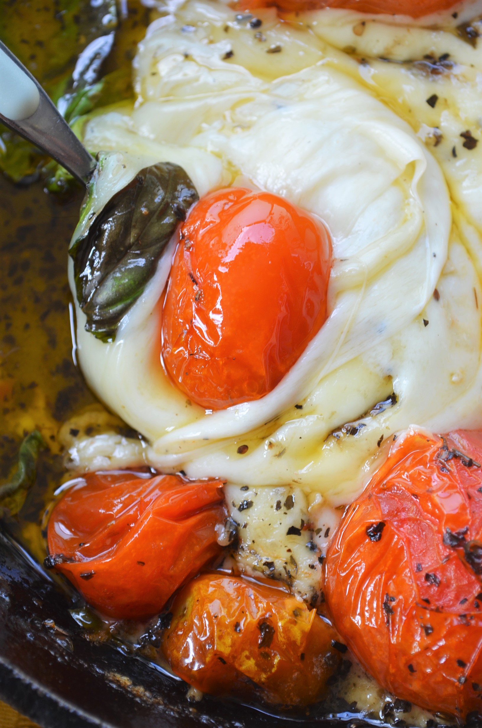 Fresh From the Garden: Baked Tomato & Mozzarella Cheese Dip