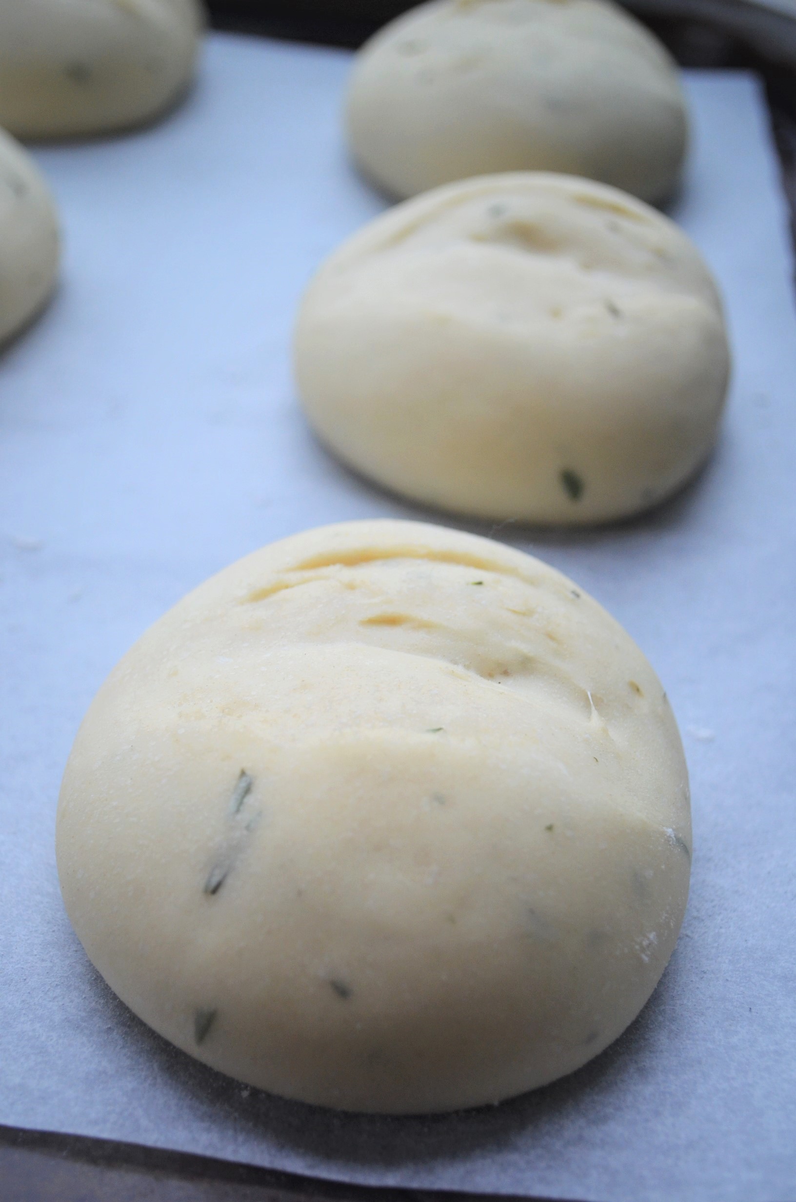 rosemary-bread-dough