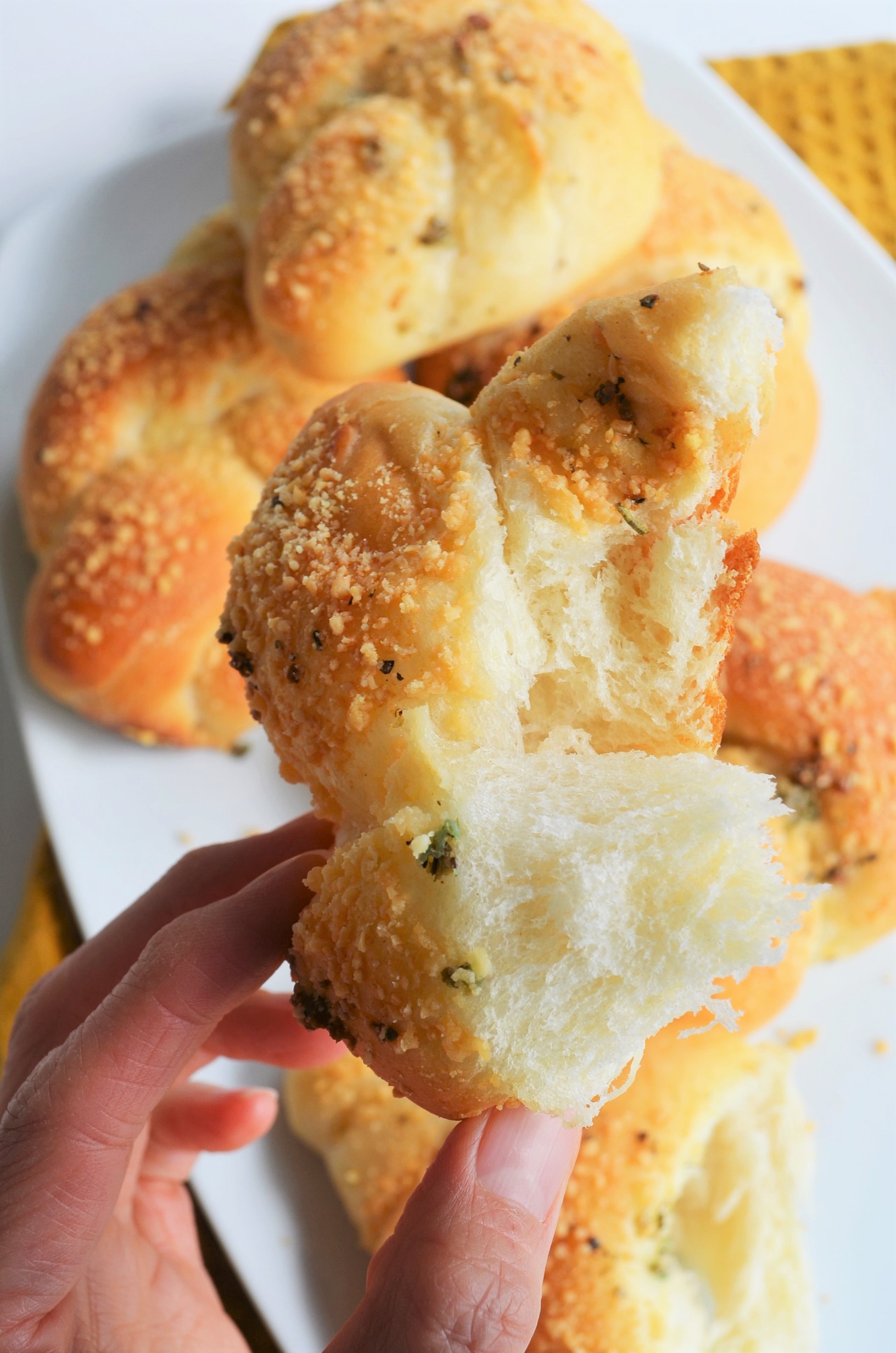 Small Batch Garlic Parmesan Knot Bread (Makes 6)